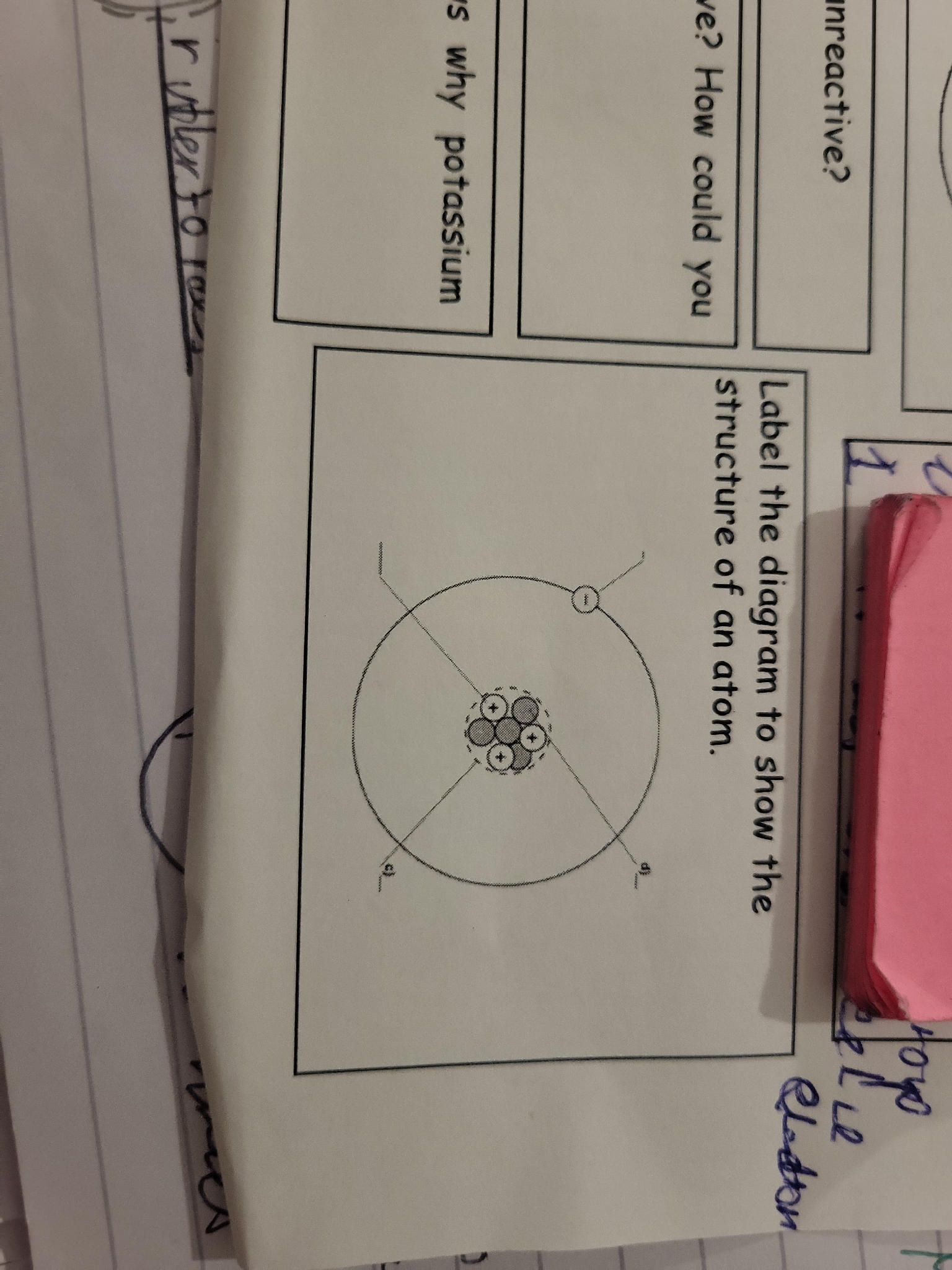 Label the diagram to show the structure of | StudyX