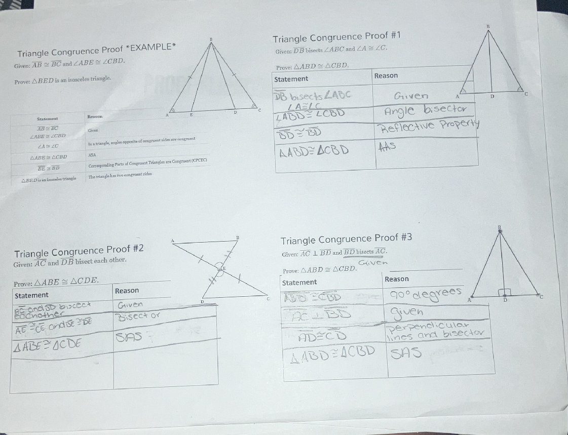 Triangle Congruence Proof *EXAMPLE* | StudyX