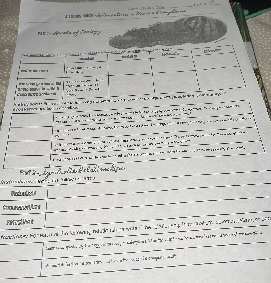 Part 1 - Levels of Ecology Instructions: | StudyX