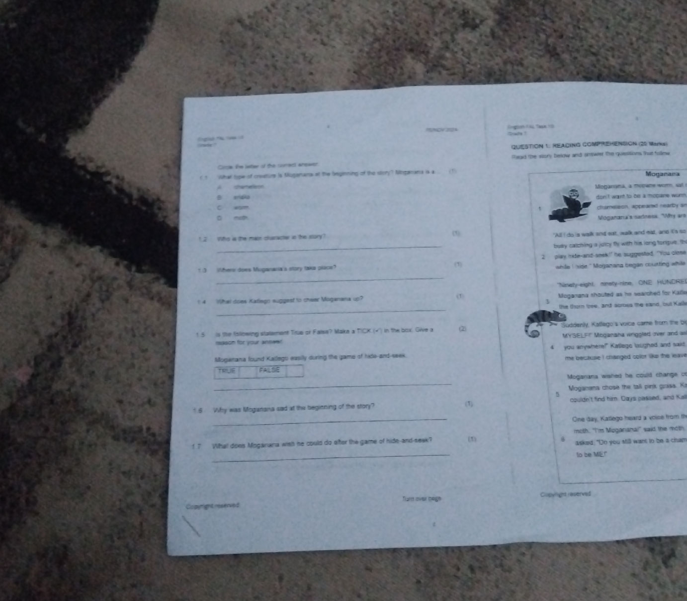 QUESTION 1: READING COMPREHENSION (20 Marks) | StudyX