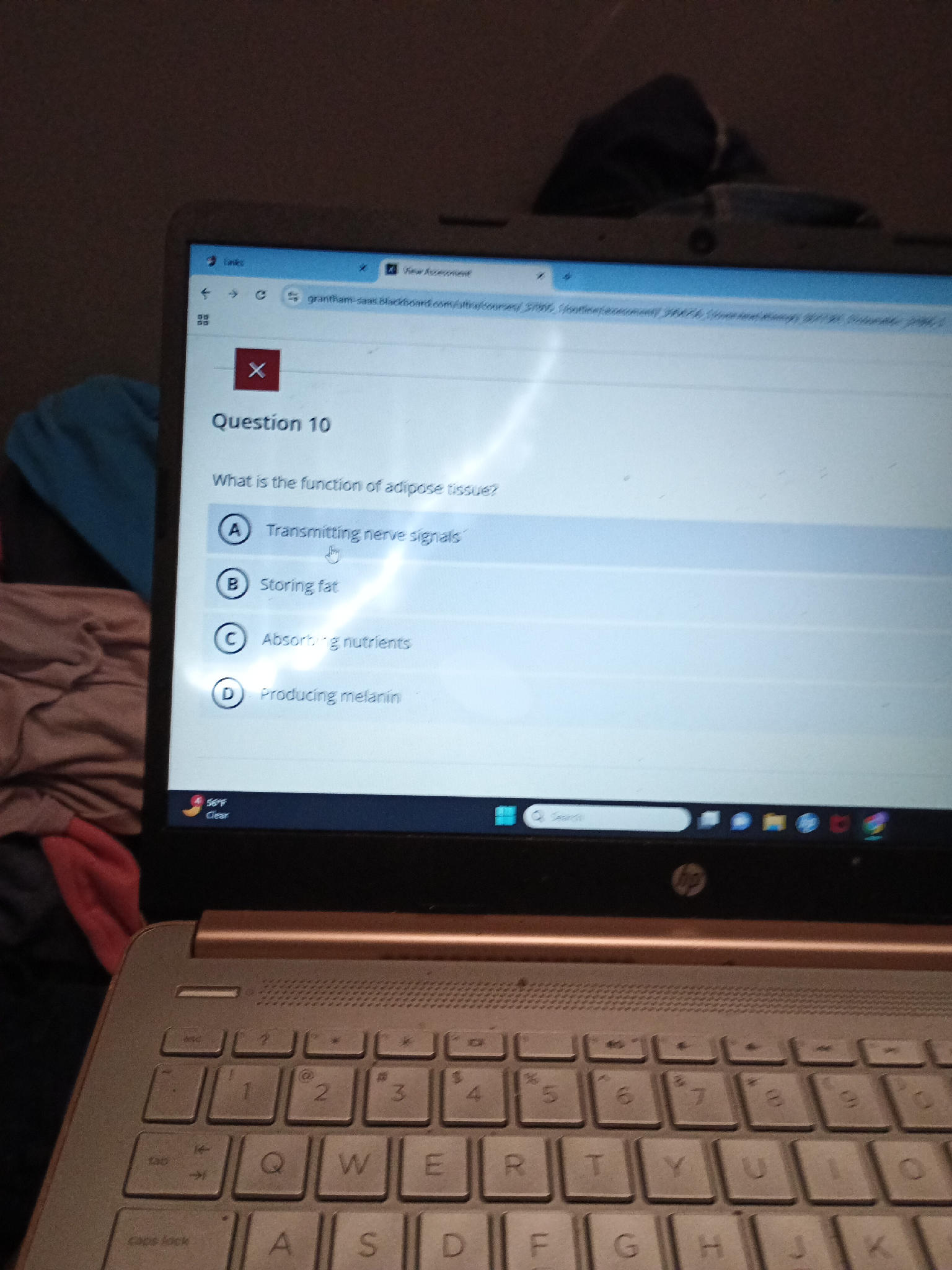 What is the function of adipose tissue? A) | StudyX