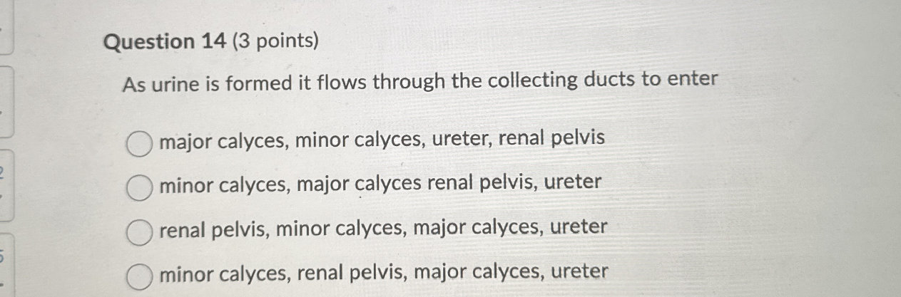 As urine is formed it flows through the | StudyX