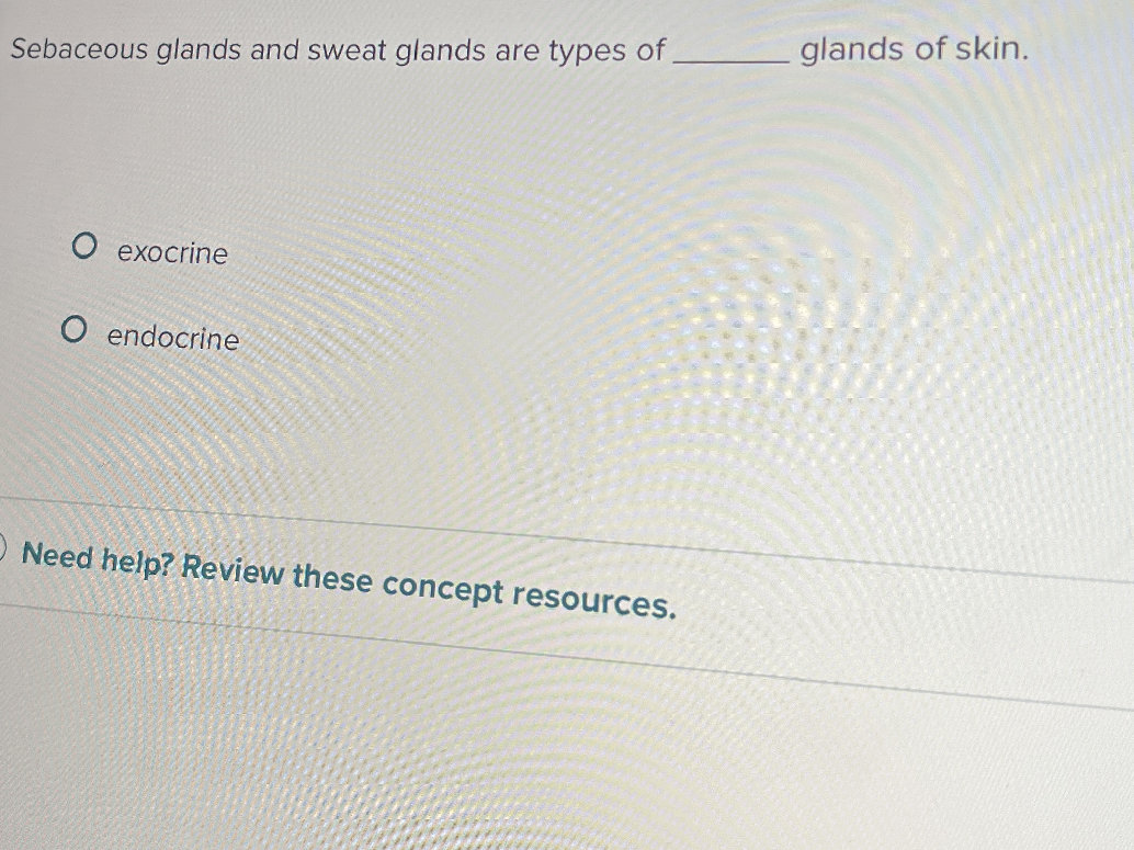 Sebaceous glands and sweat glands are types | StudyX