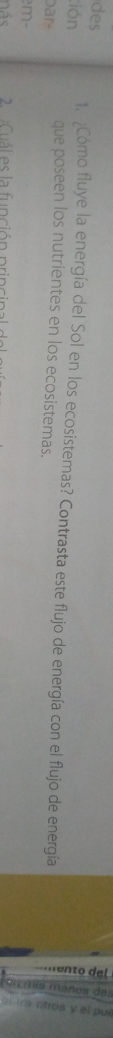 1. ¿Cómo fluye la energía del Sol en los | StudyX