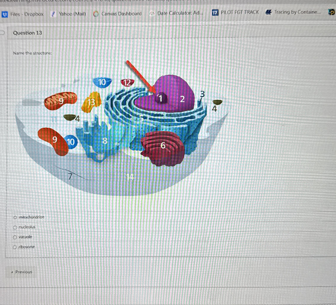 Name the structure: O mitochondrion O | StudyX