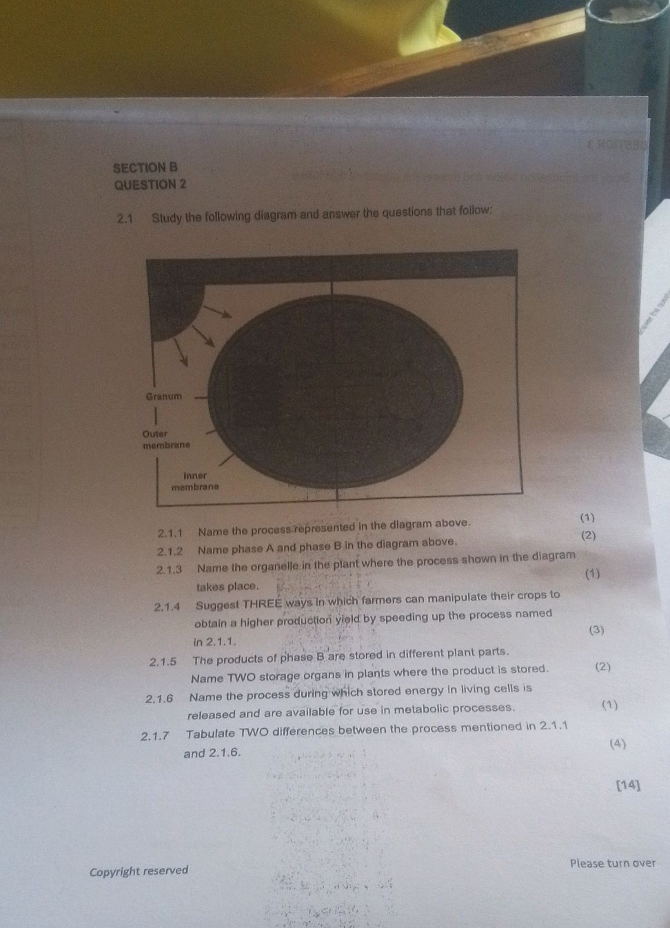 2.1 Study the following diagram and answer | StudyX