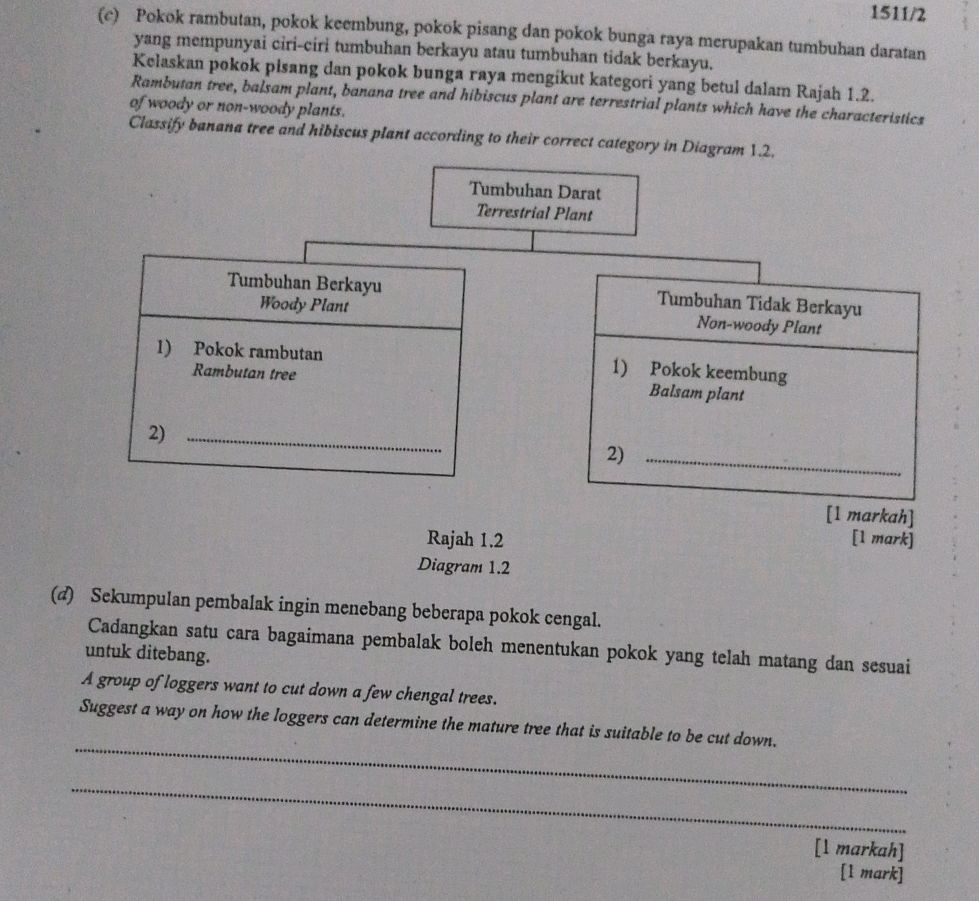 (c) Pokok rambutan, pokok keembung, pokok | StudyX