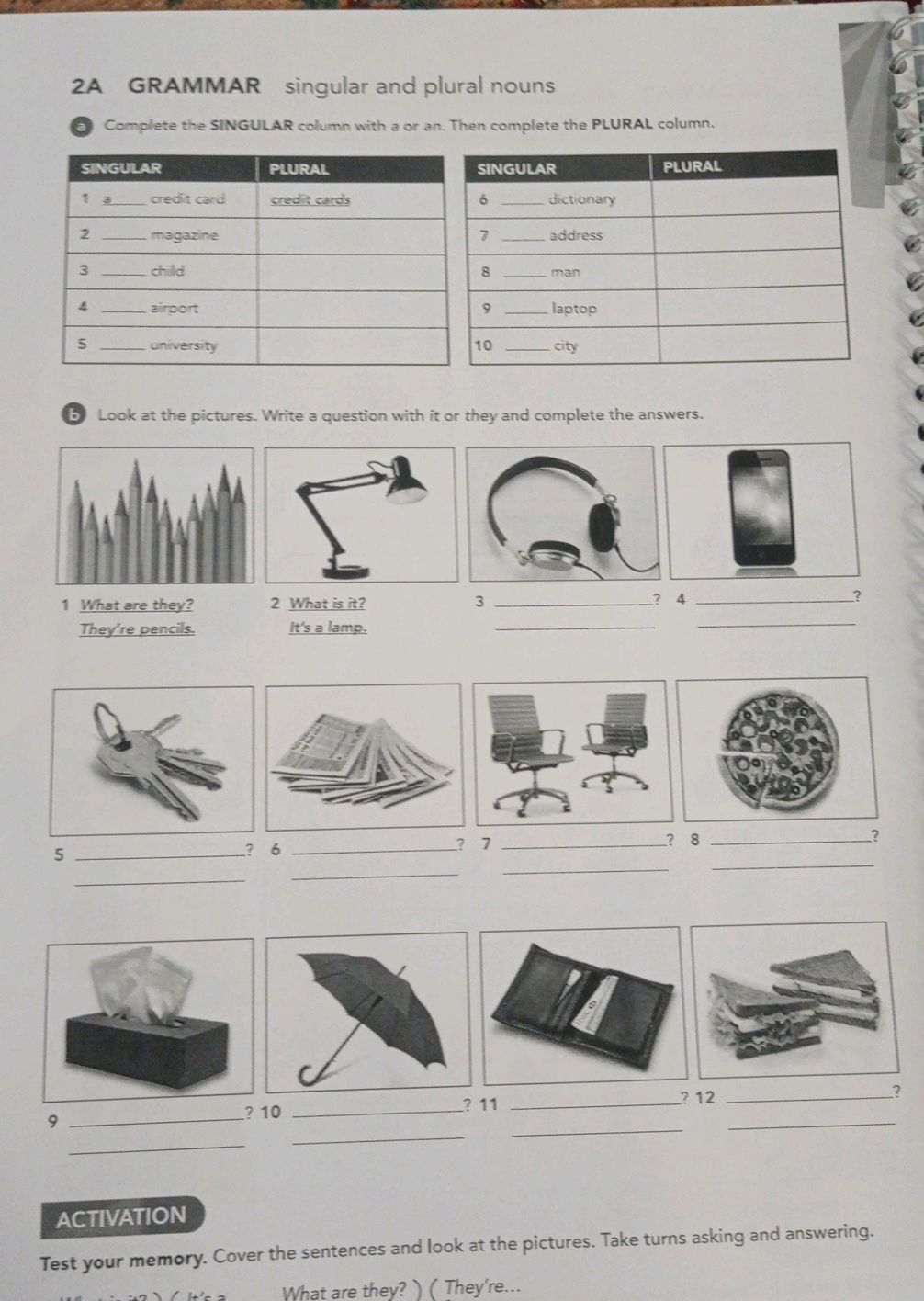 Complete the SINGULAR column with a or an. | StudyX