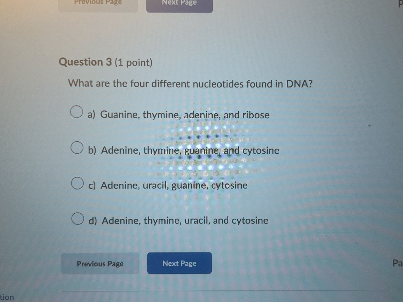 What are the four different nucleotides | StudyX