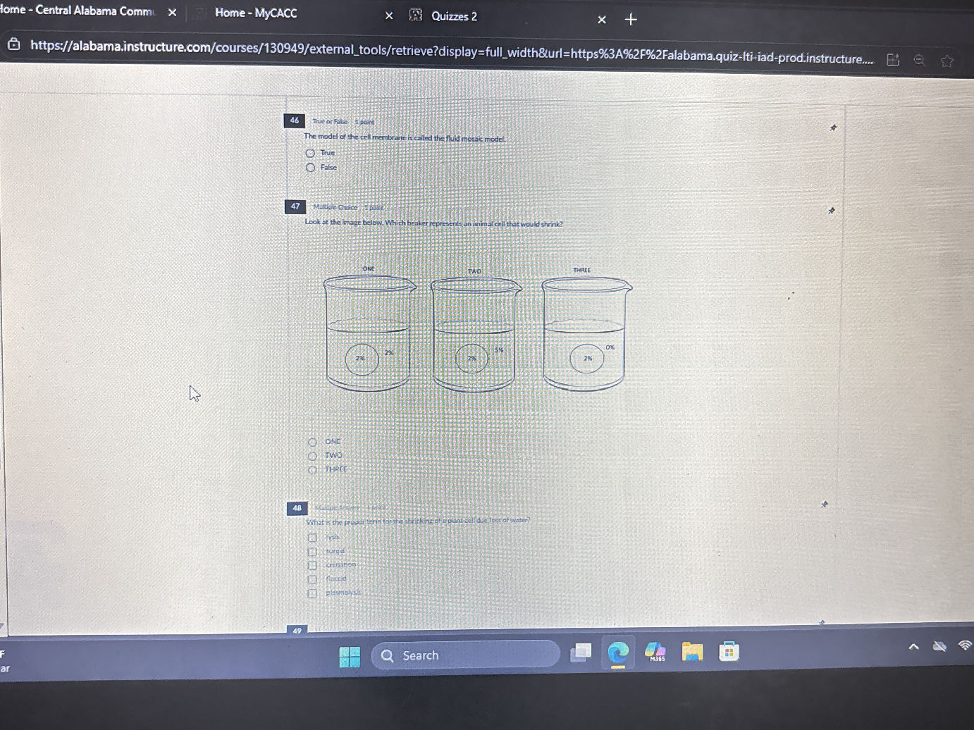 What is the proper term for the shrinking of | StudyX