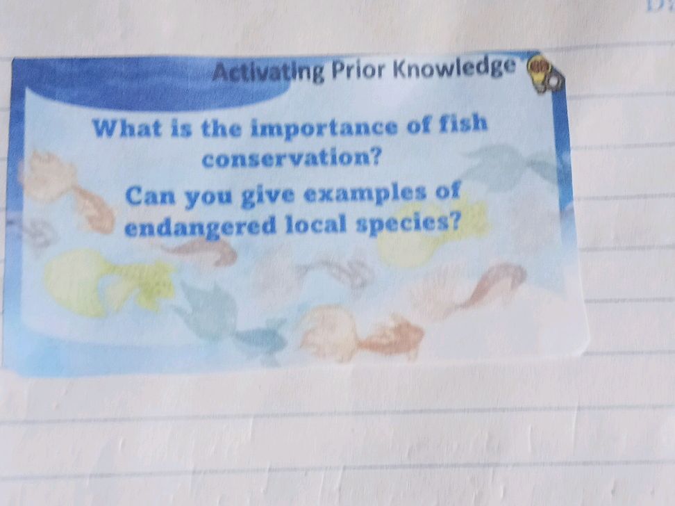 What is the importance of fish conservation?