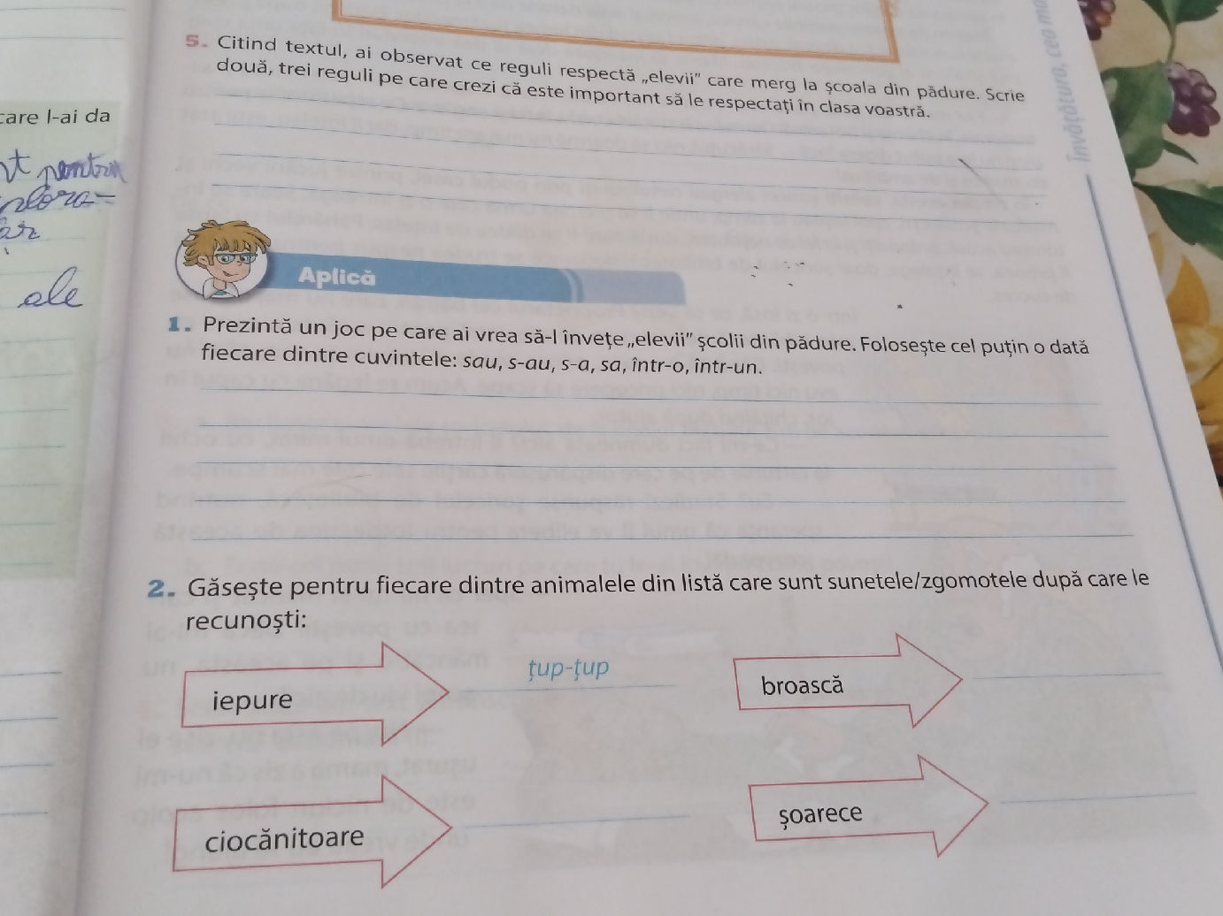 5. Citind textul, ai observat ce reguli | StudyX