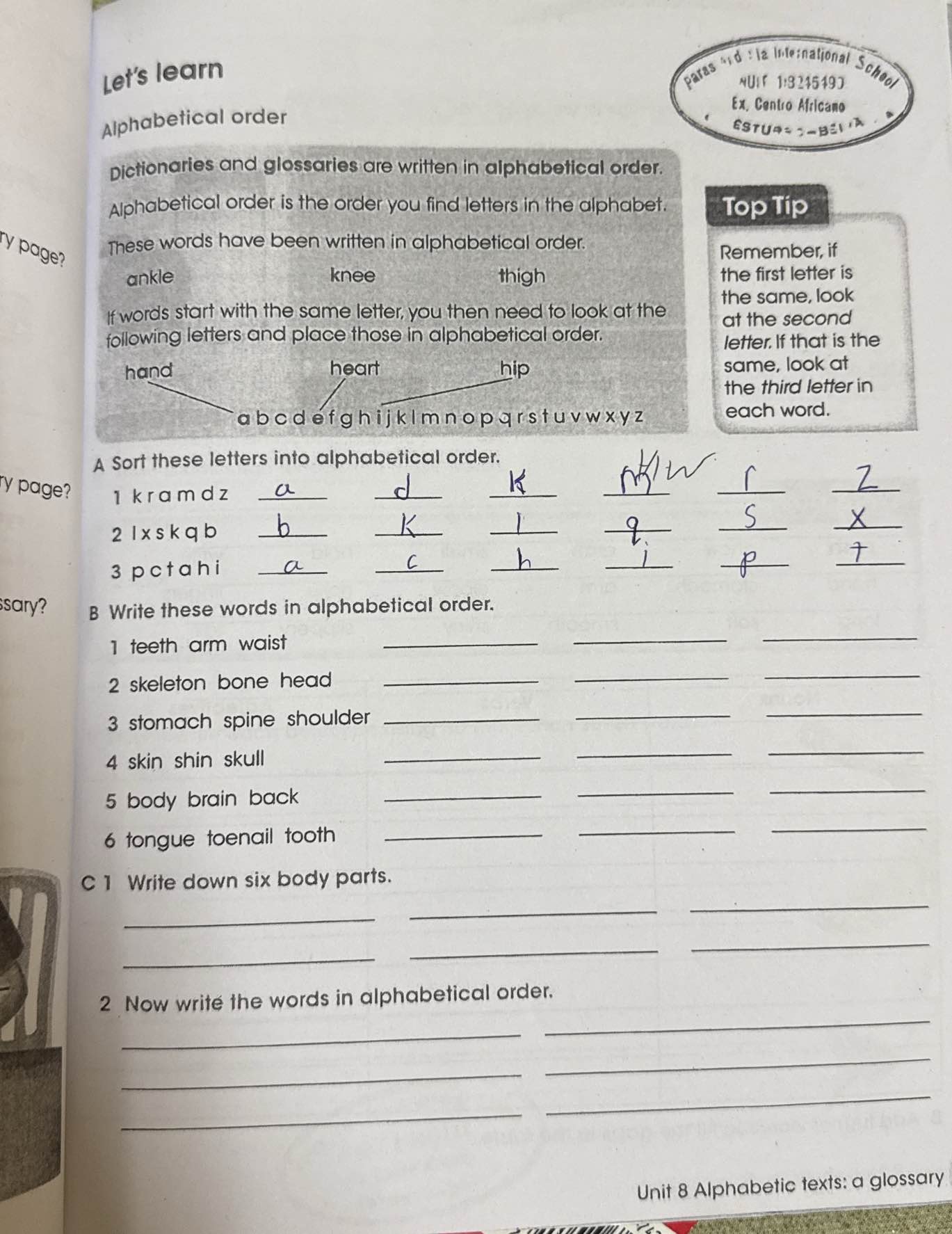 Write these words in alphabetical order. 1 | StudyX