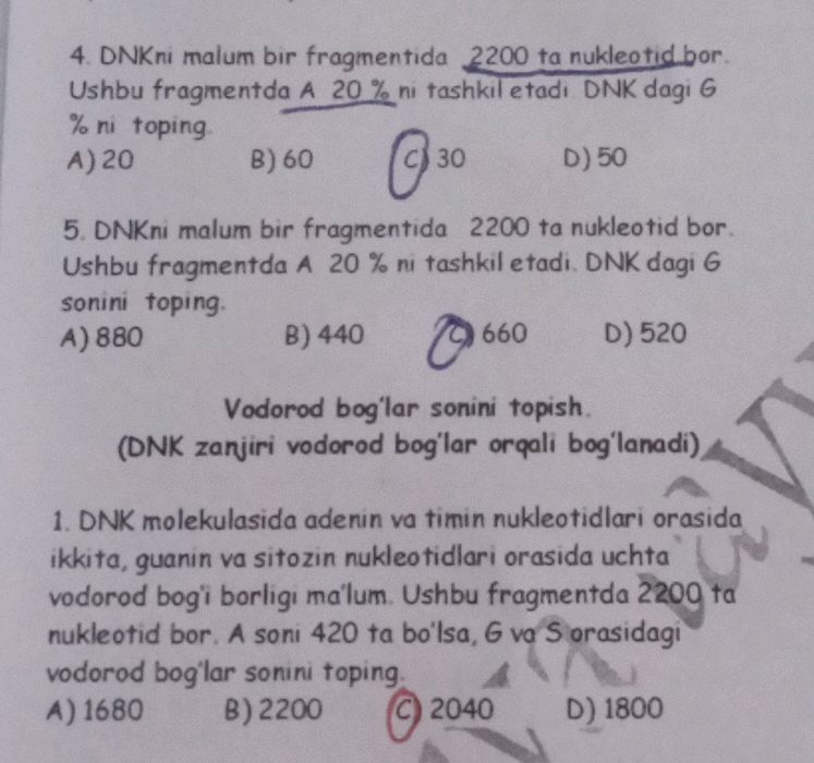 4. DNKni malum bir fragmentida 2200 ta | StudyX