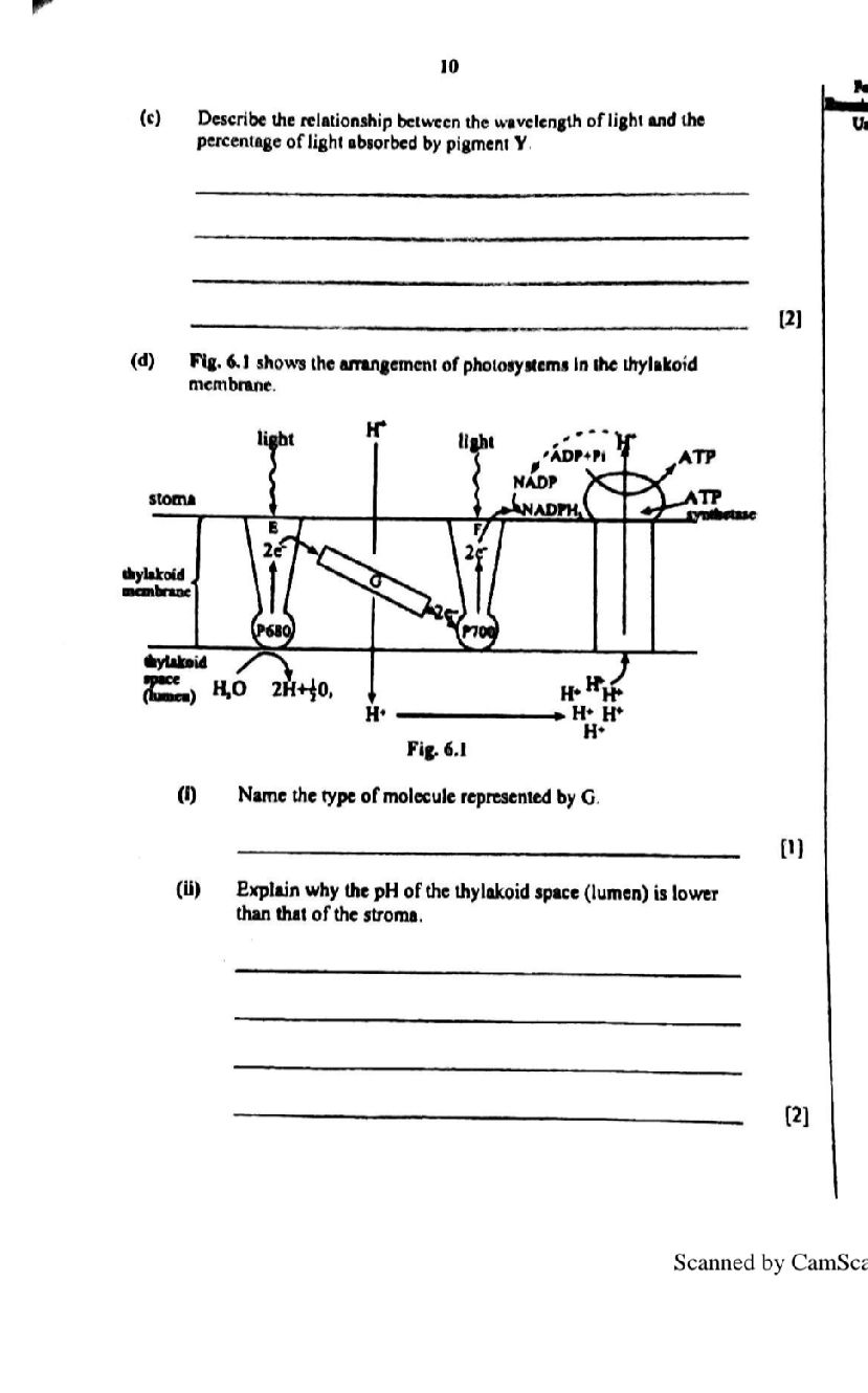 Describe the relationship between the | StudyX