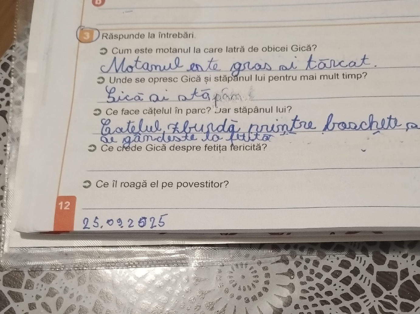 Răspunde la întrebări. * Cum este motanul | StudyX