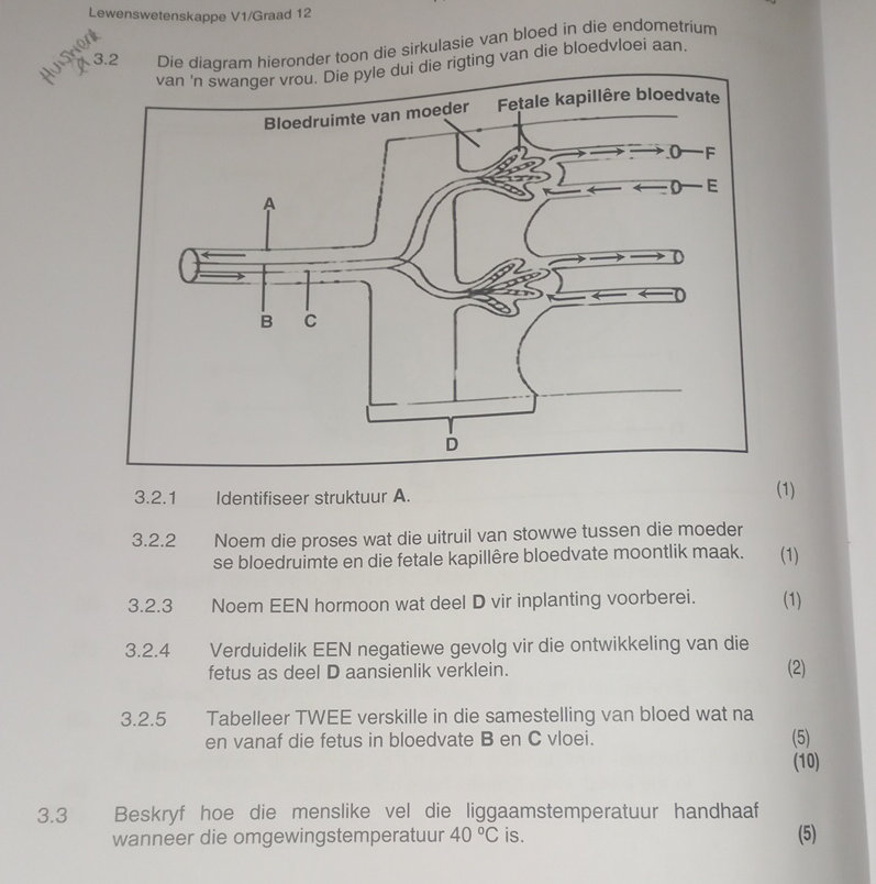 Die diagram hieronder toon die sirkulasie | StudyX
