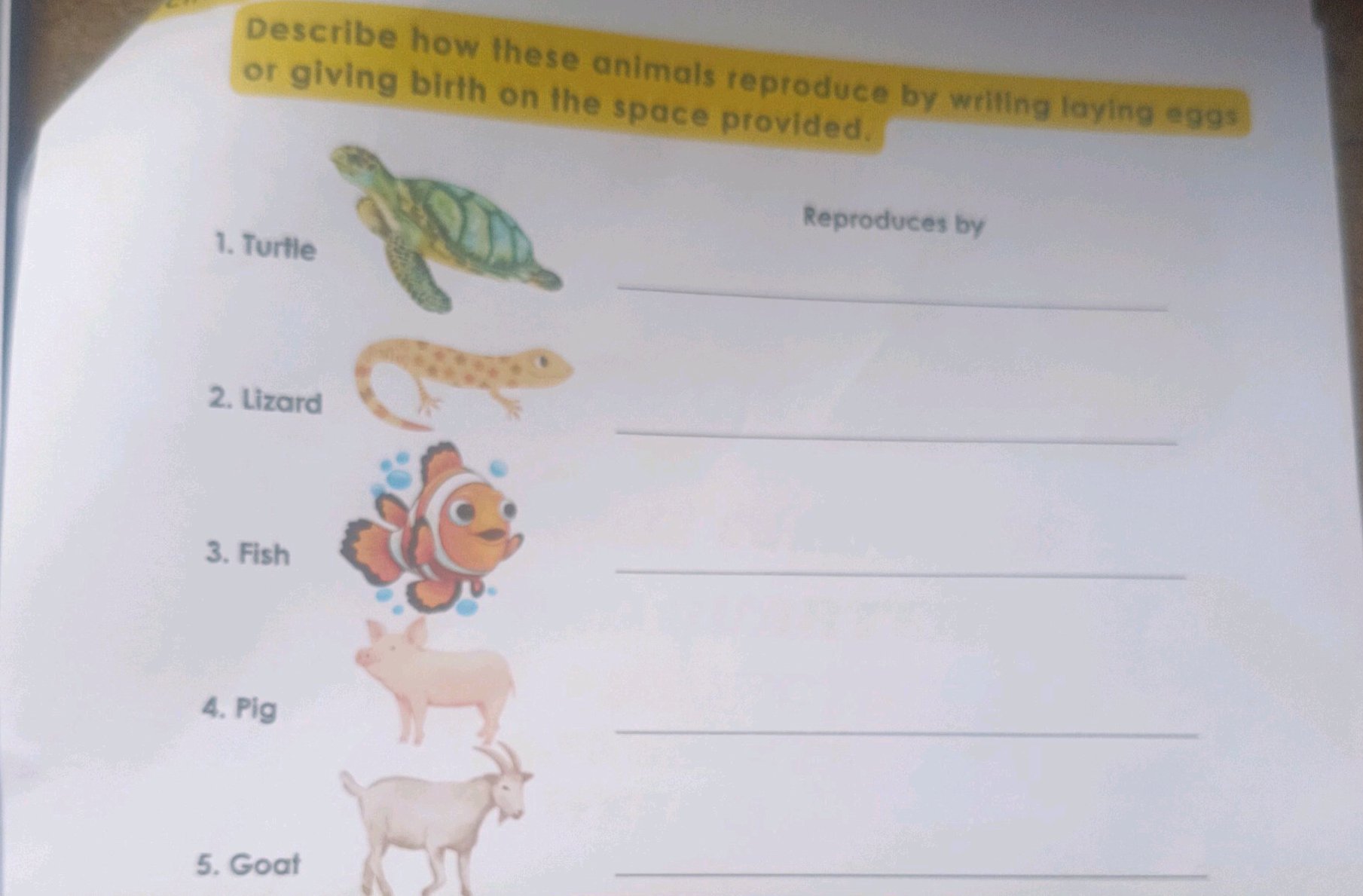 Describe how these animals reproduce by | StudyX