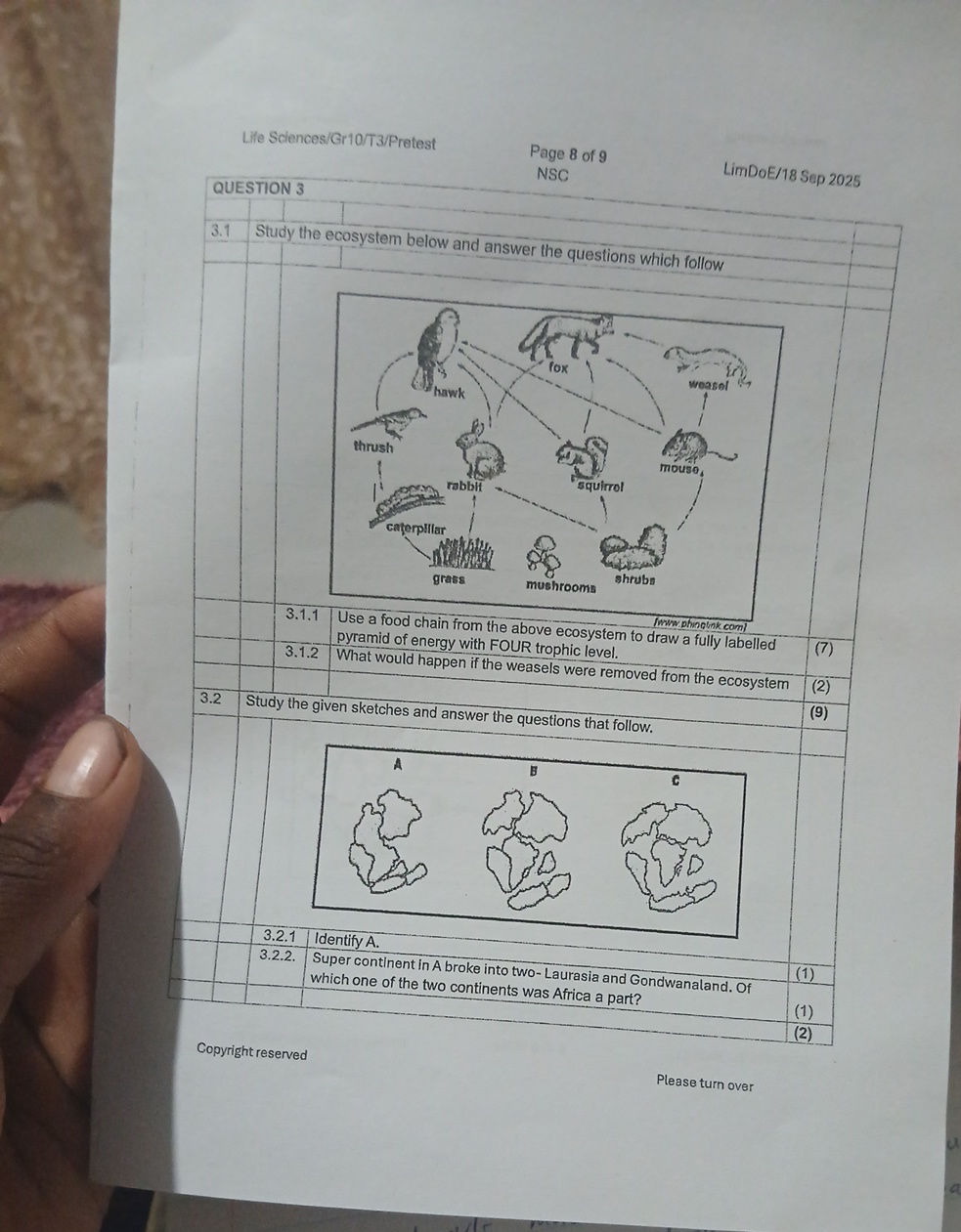 Study the given sketches and answer the | StudyX