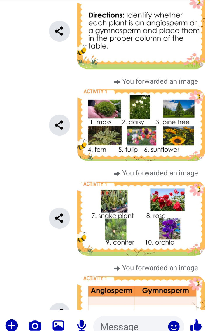 Directions: Identify whether each plant is | StudyX