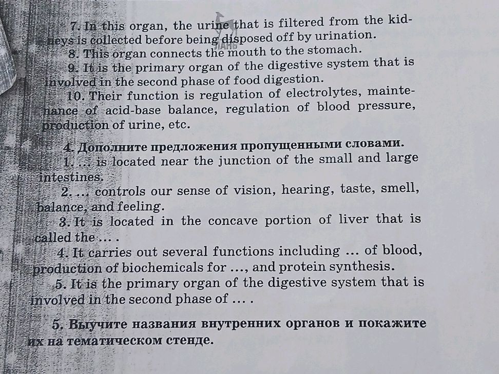 7. In this organ, the urine that is filtered | StudyX