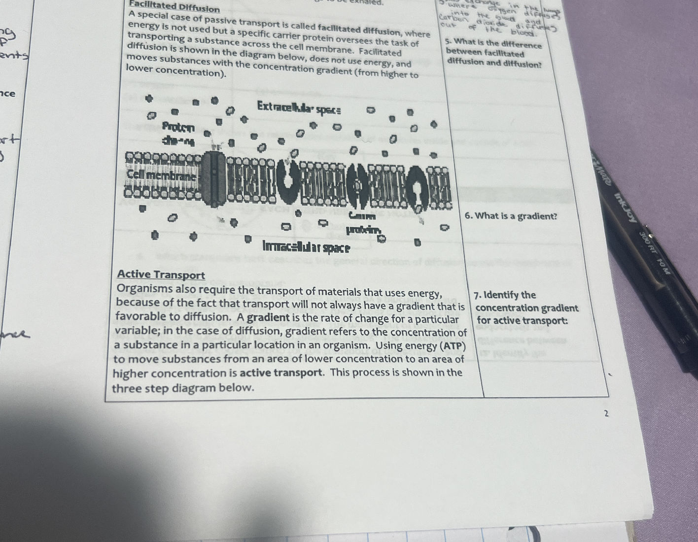 5. What is the difference between | StudyX
