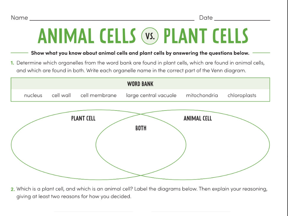 1. Determine which organelles from the word | StudyX