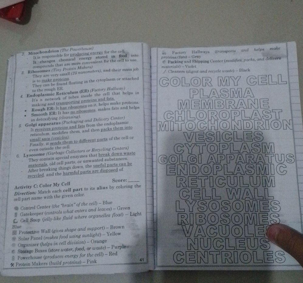 Activity C: Color My Cell Score: ______ | StudyX