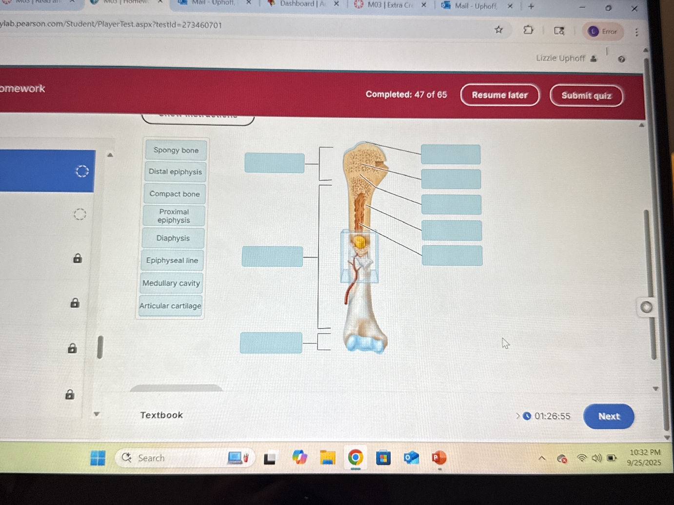 Label the diagram of the long bone with the | StudyX