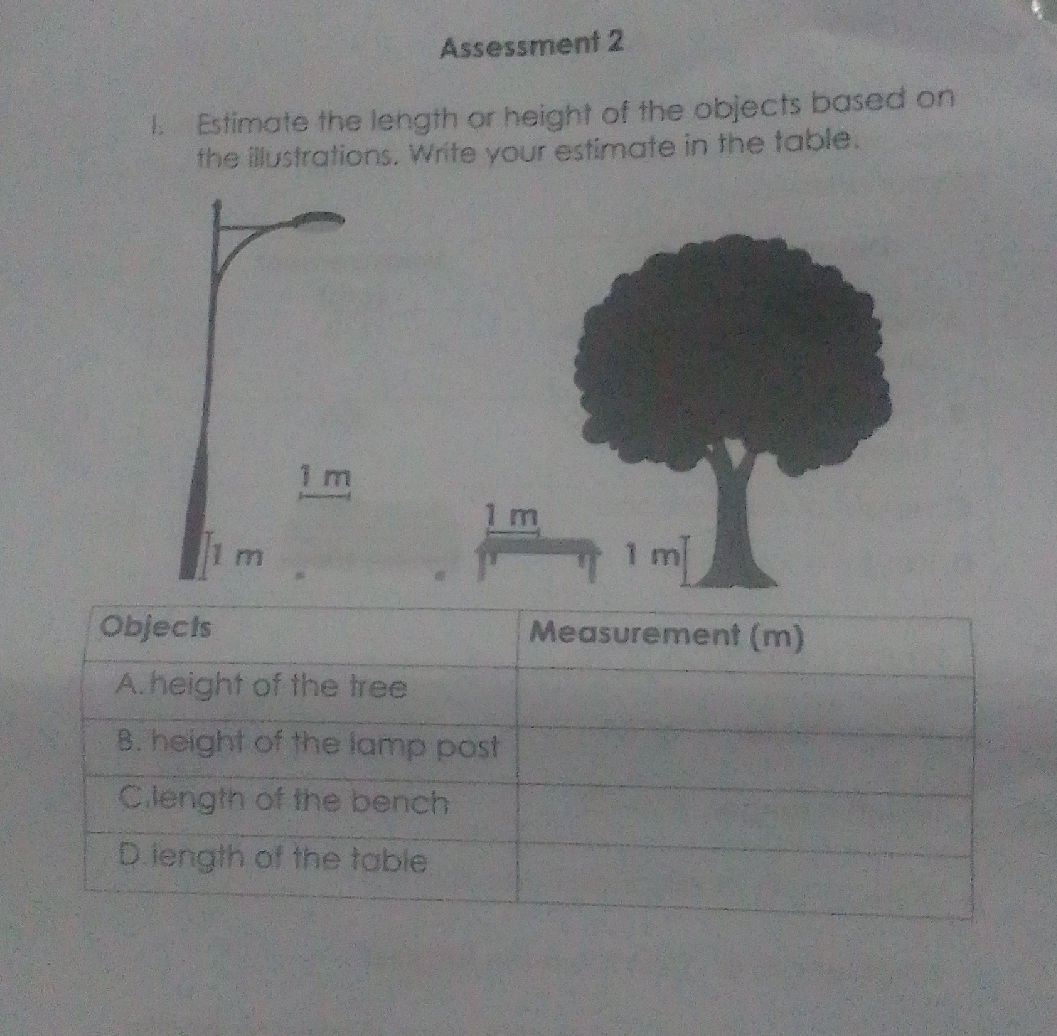 Estimate the length or height of the objects | StudyX