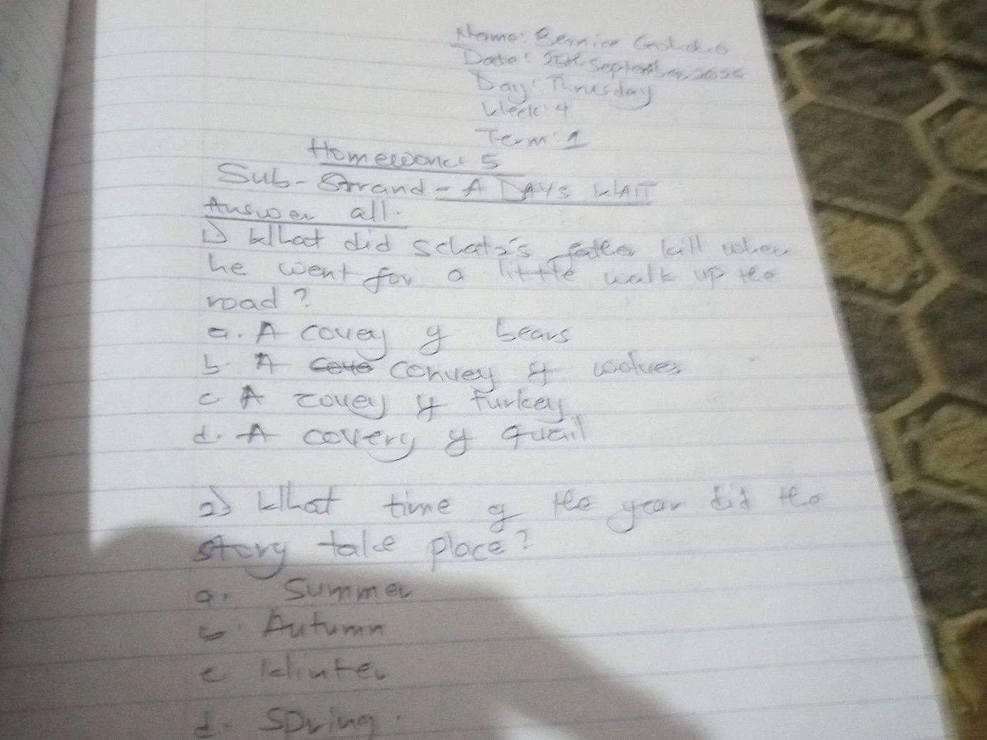 Answer all. Sub-Strand - A DAYS WAIT 1) | StudyX