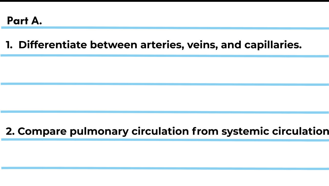 1. Differentiate between arteries, veins, | StudyX