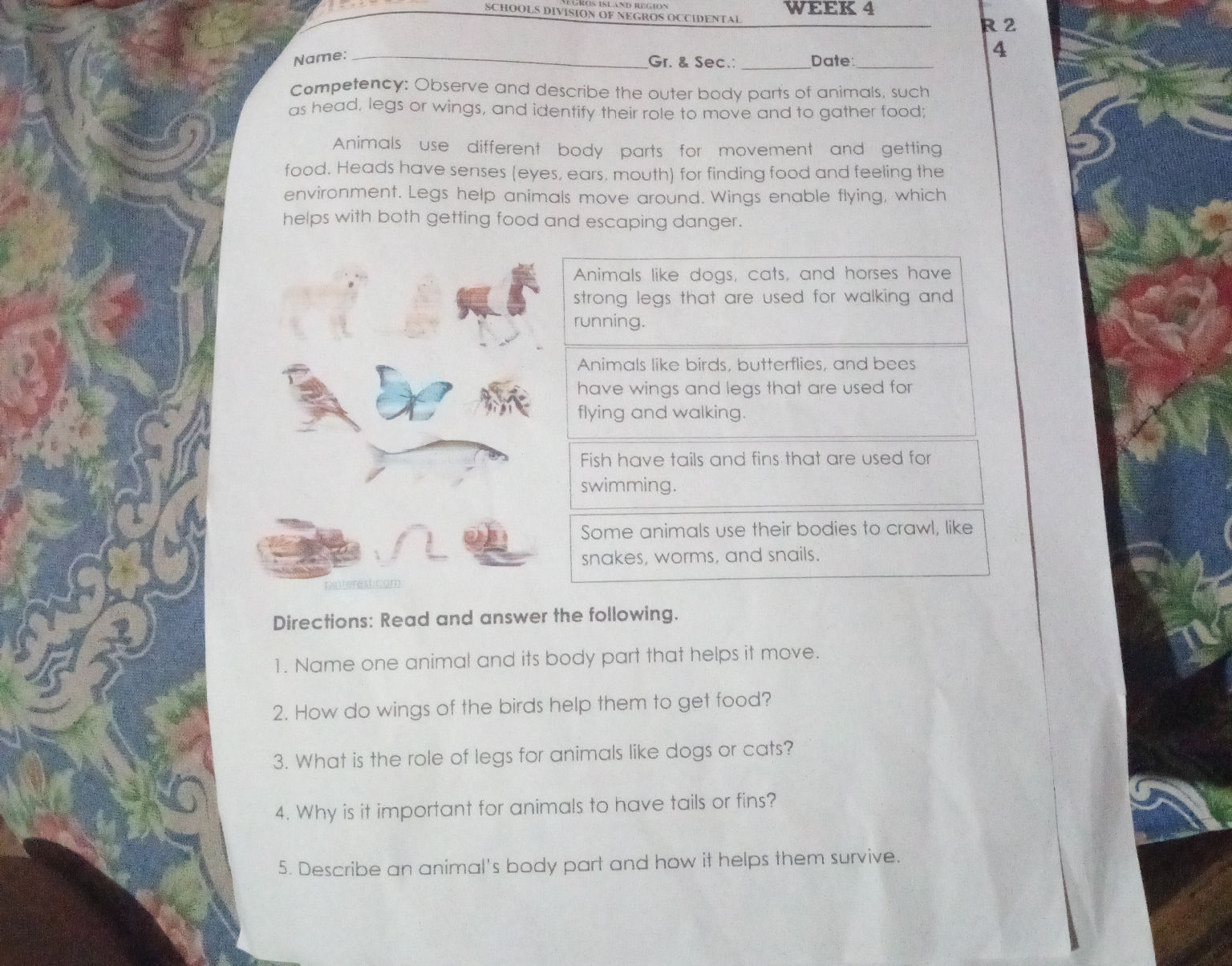 Animals use different body parts for | StudyX