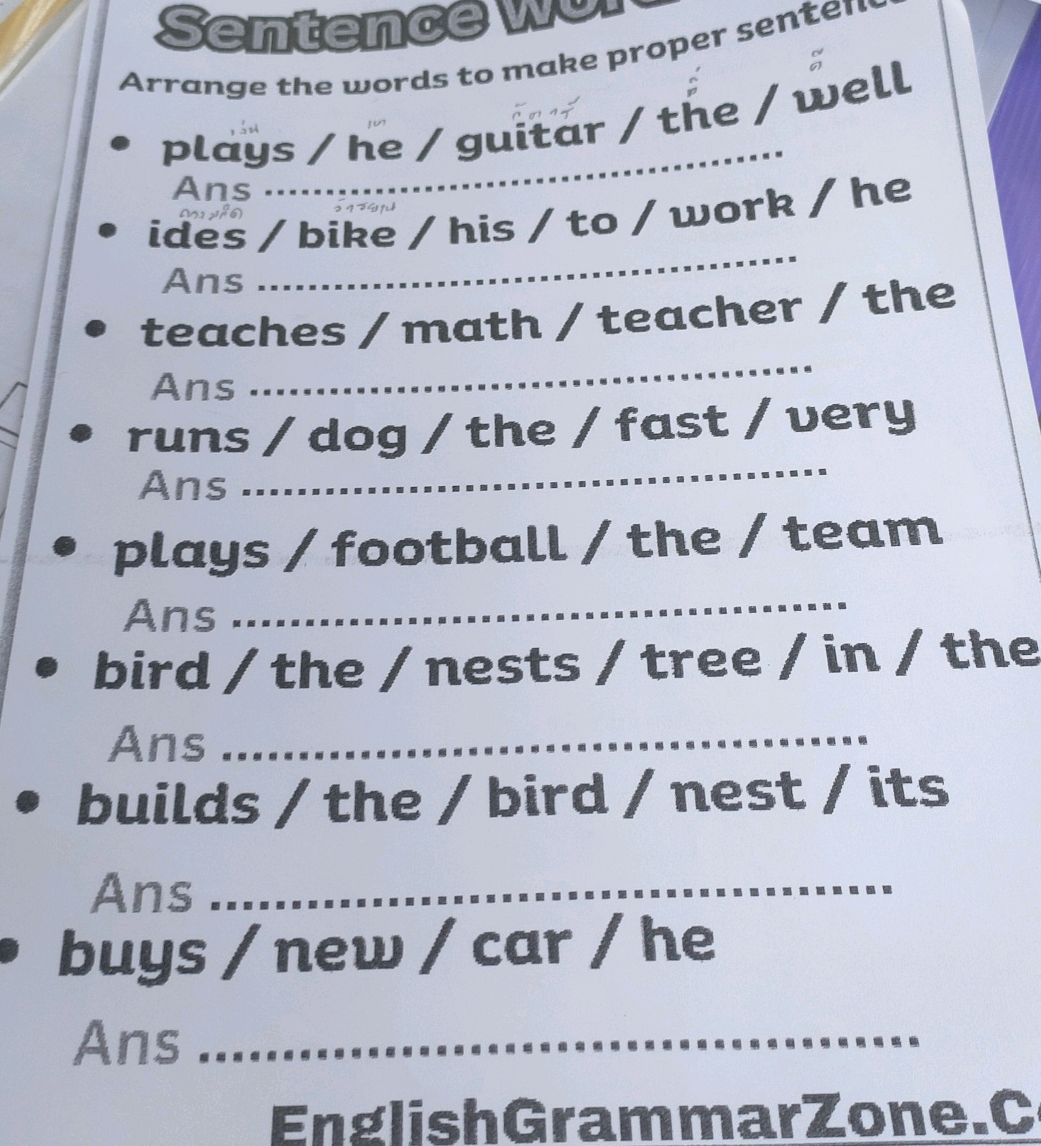 Arrange the words to make proper sentences: | StudyX