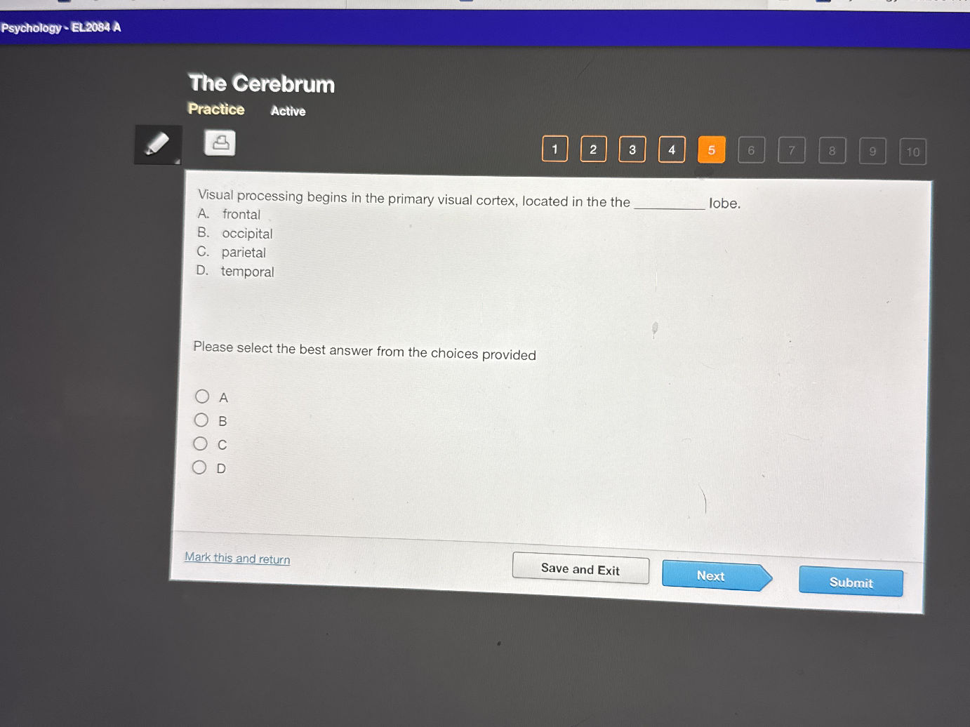 Visual processing begins in the primary | StudyX
