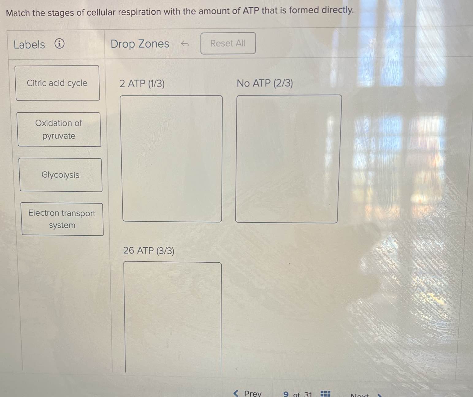 Match the stages of cellular respiration | StudyX