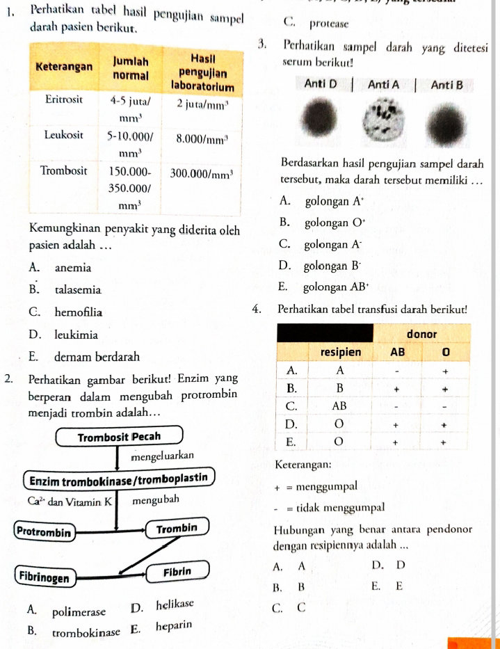 Perhatikan tabel hasil pengujian sampel | StudyX