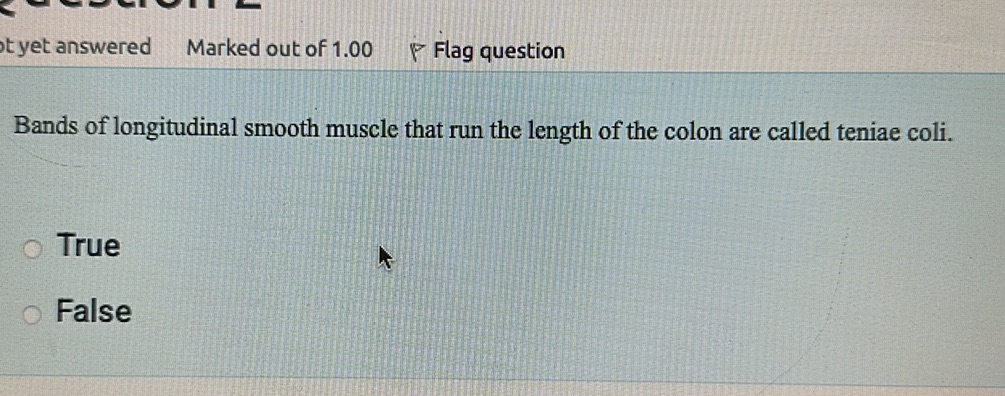 Bands of longitudinal smooth muscle that run | StudyX