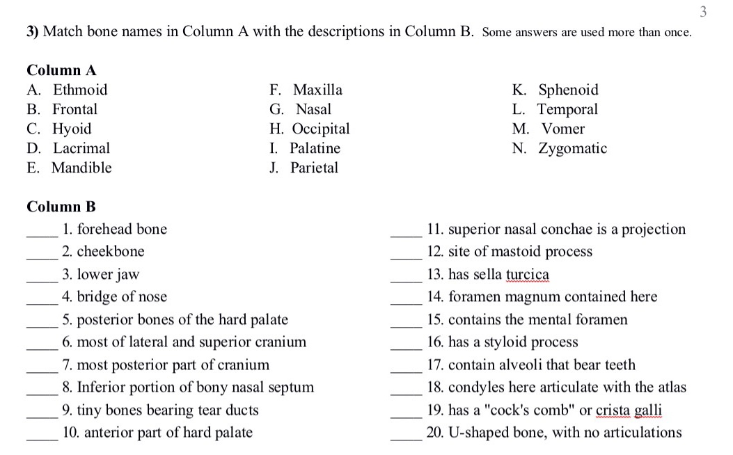 Match bone names in Column A with the | StudyX
