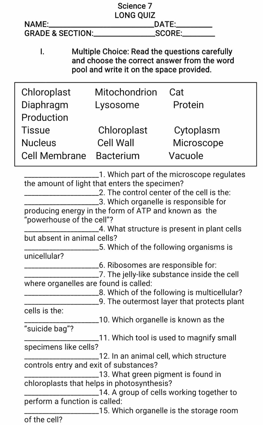 Multiple Choice: Read the questions | StudyX