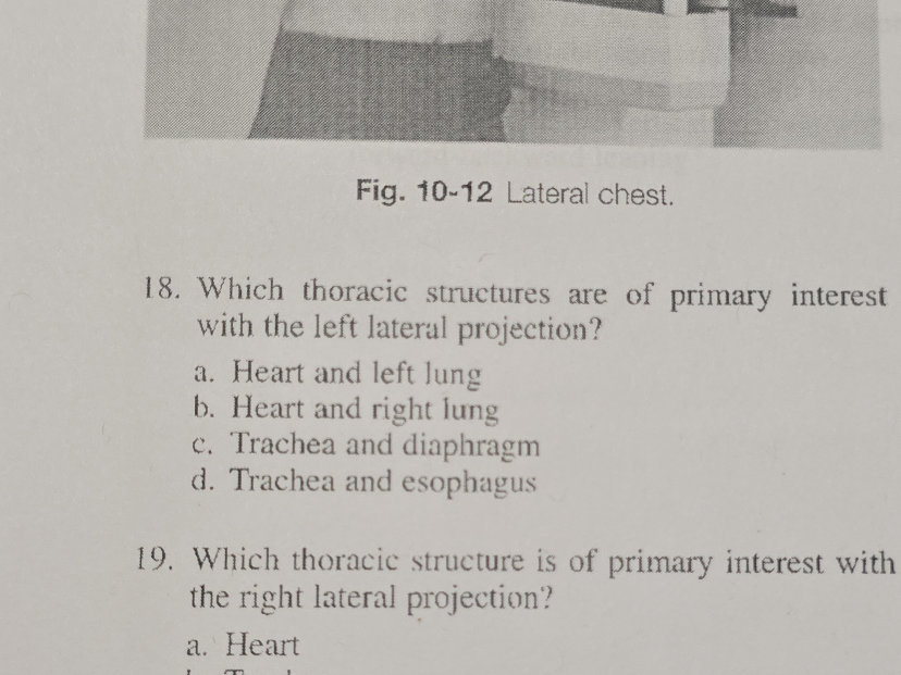 18. Which thoracic structures are of primary | StudyX