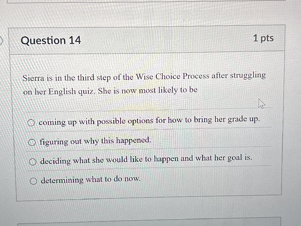 Sierra is in the third step of the Wise | StudyX