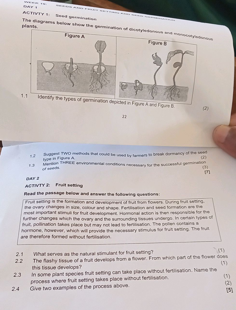 WEEK 10: DAY 1 SEEDS AND FRUIT SETTING AND | StudyX