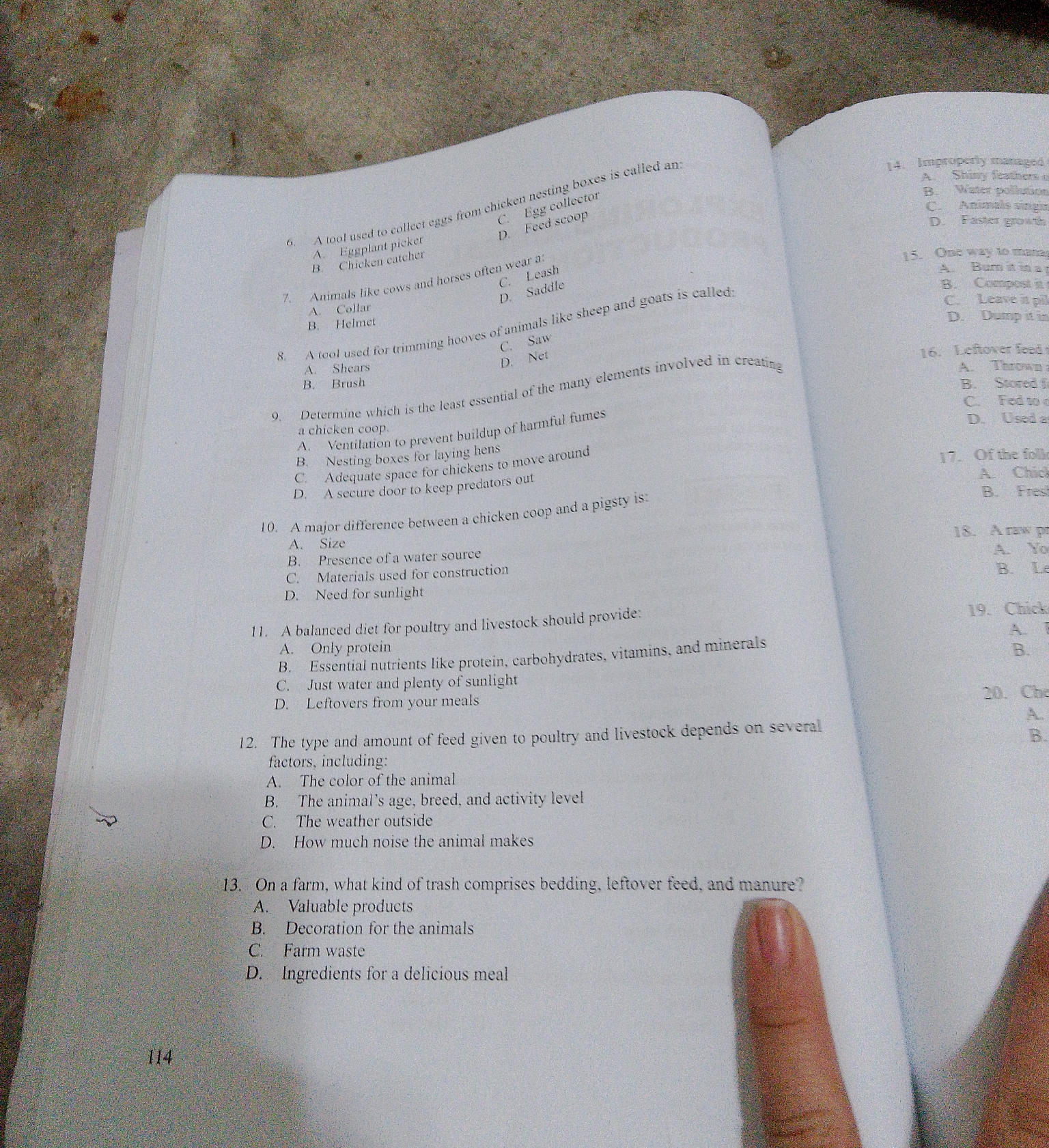 A tool used to collect eggs from chicken | StudyX