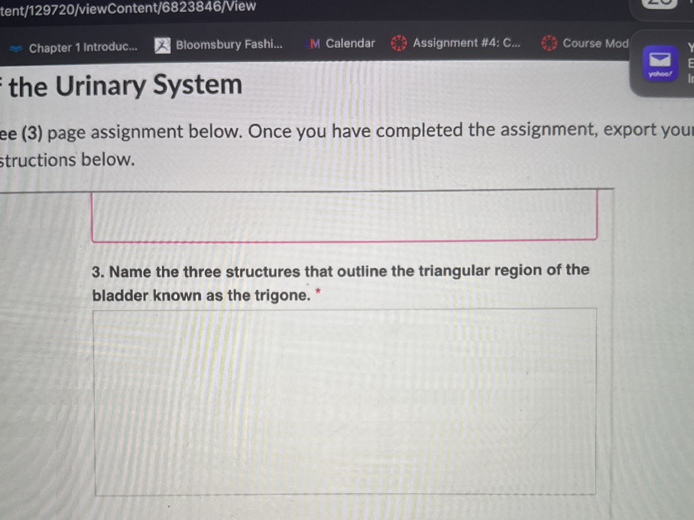 Name the three structures that outline the | StudyX