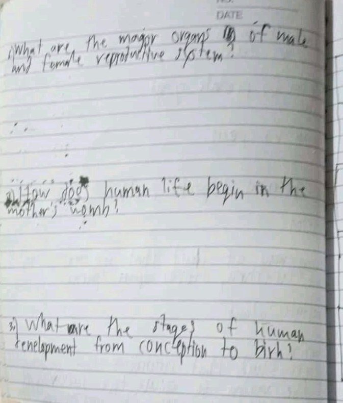 How does human life begin in the mother's | StudyX