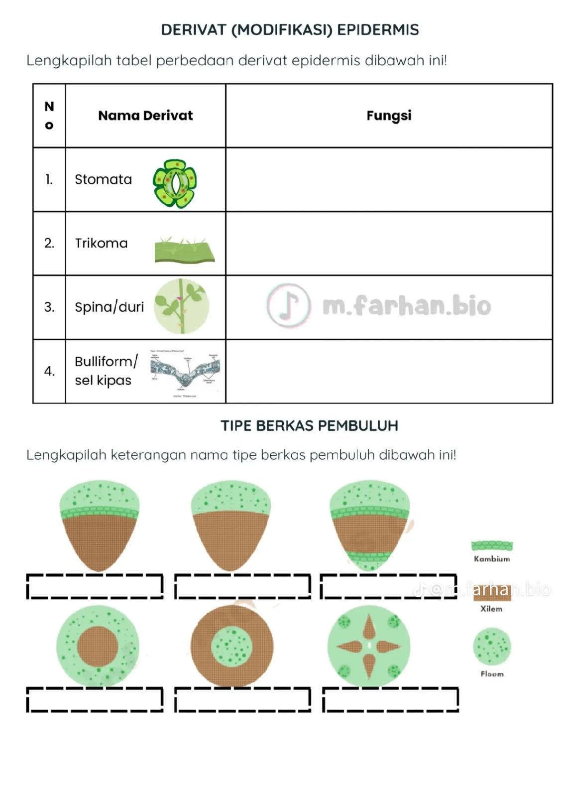 Lengkapilah tabel perbedaan derivat | StudyX