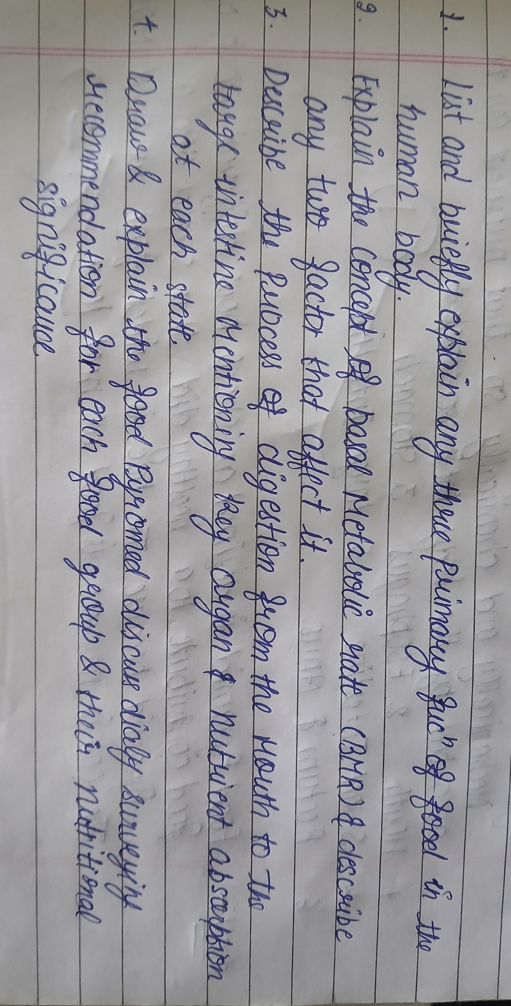 Draw explain the food Pyramid discuss | StudyX