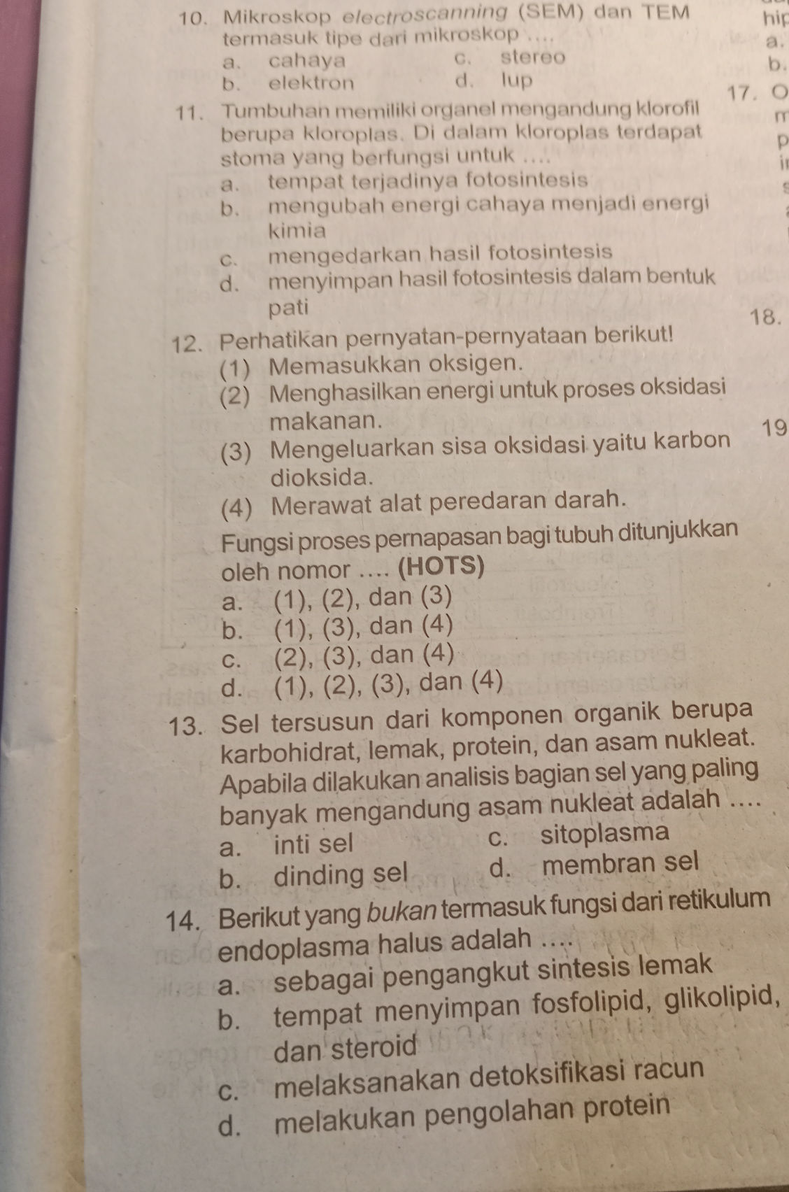 10. Mikroskop electroscanning (SEM) dan TEM | StudyX