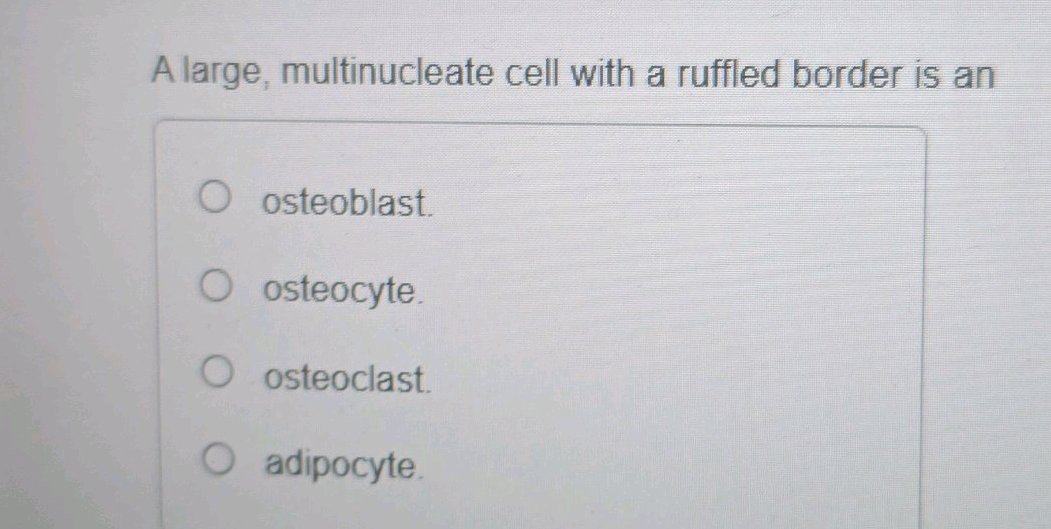 A large, multinucleate cell with a ruffled | StudyX